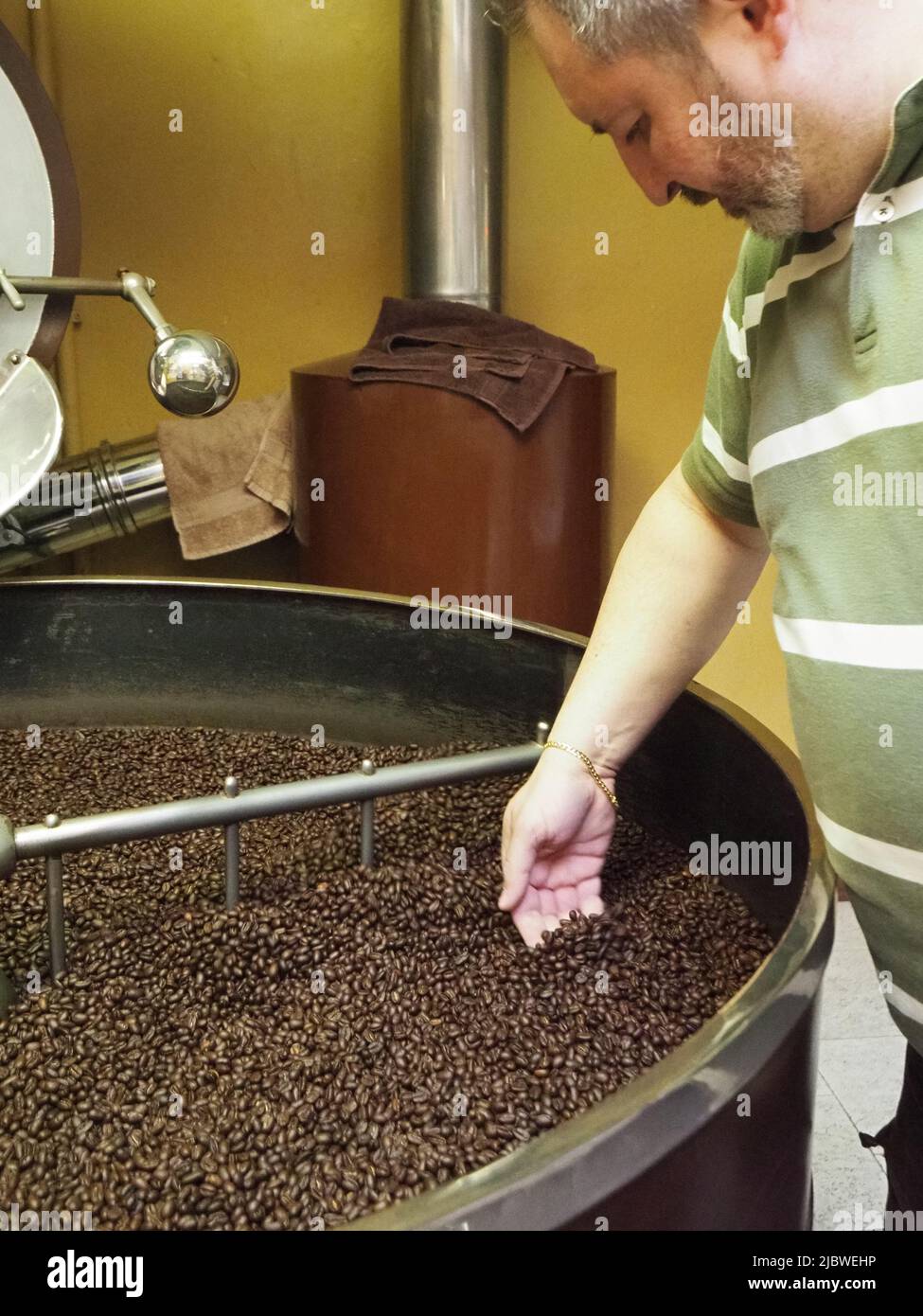 Freshly roasted coffee beans pouring from a large coffee roaster into ...