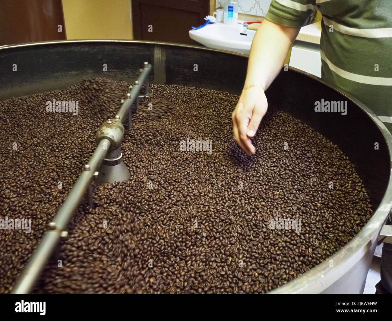 Freshly roasted coffee beans pouring from a large coffee roaster into ...