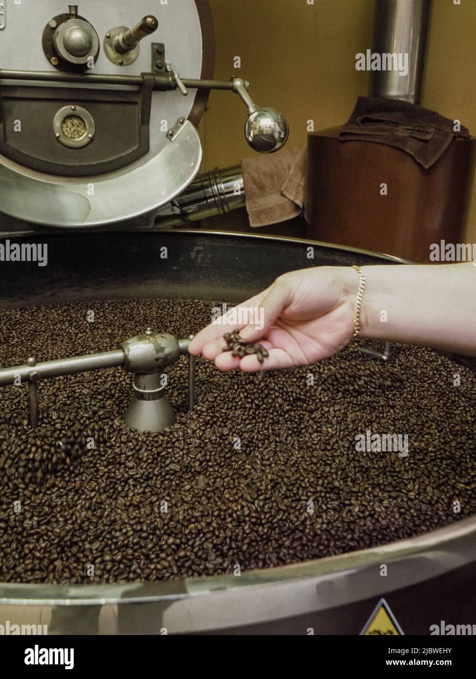 Freshly roasted coffee beans pouring from a large coffee roaster into ...