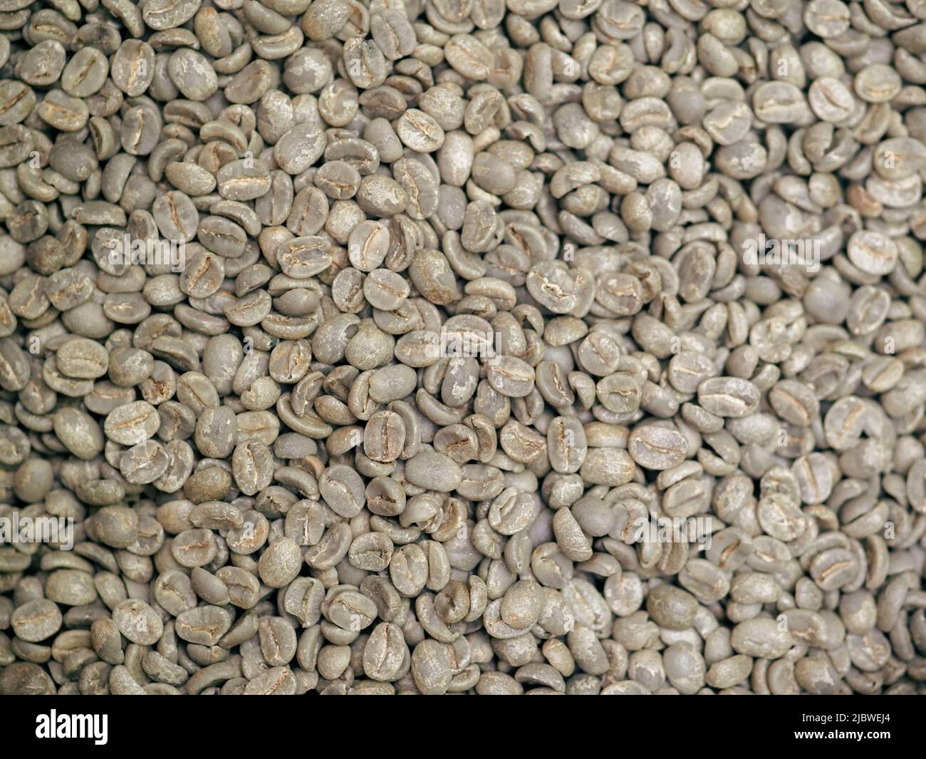Group cafe costa rica hi-res stock photography and images - Alamy