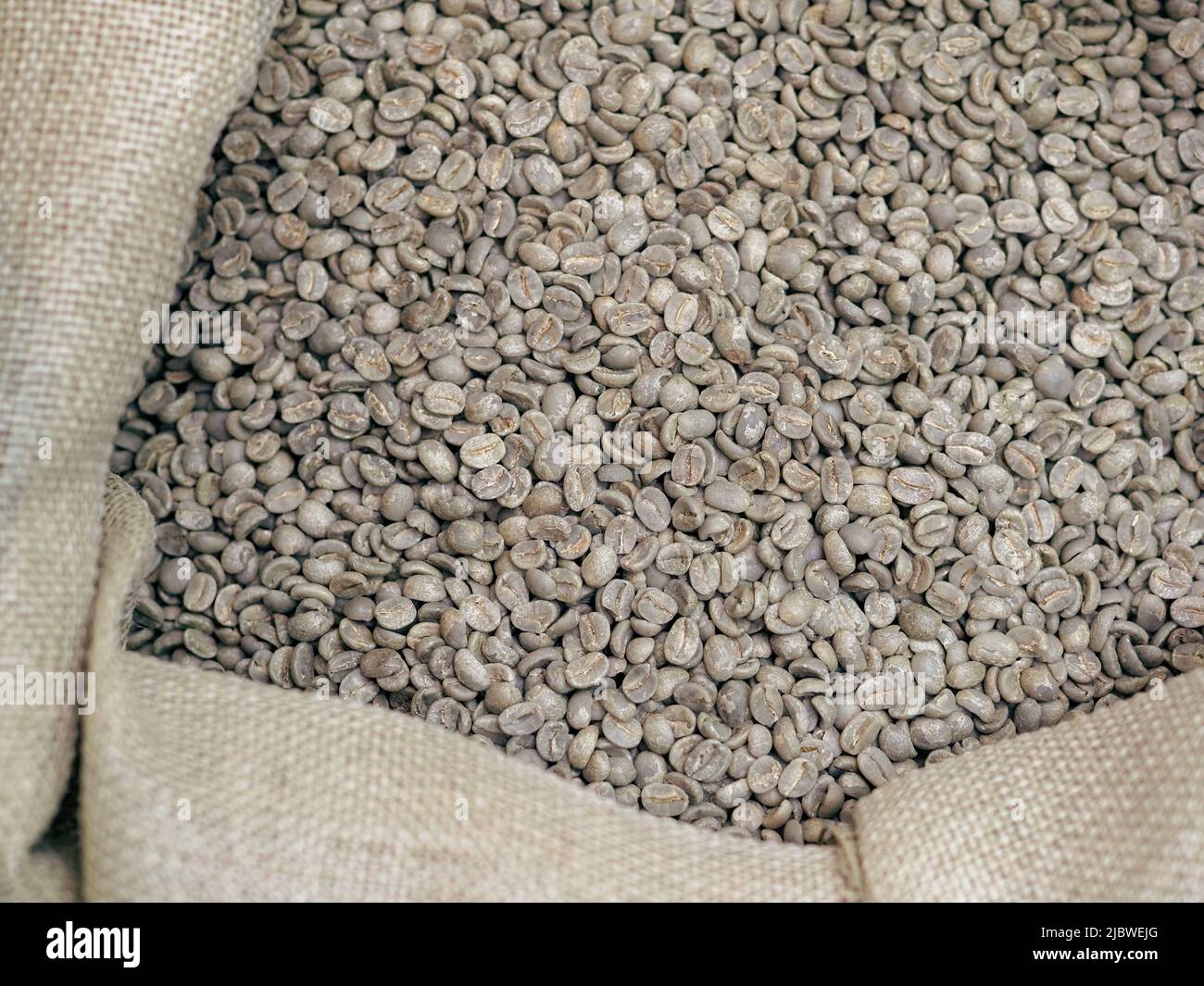 raw green coffee beans from bio ethical agriculture in costa rica Stock ...