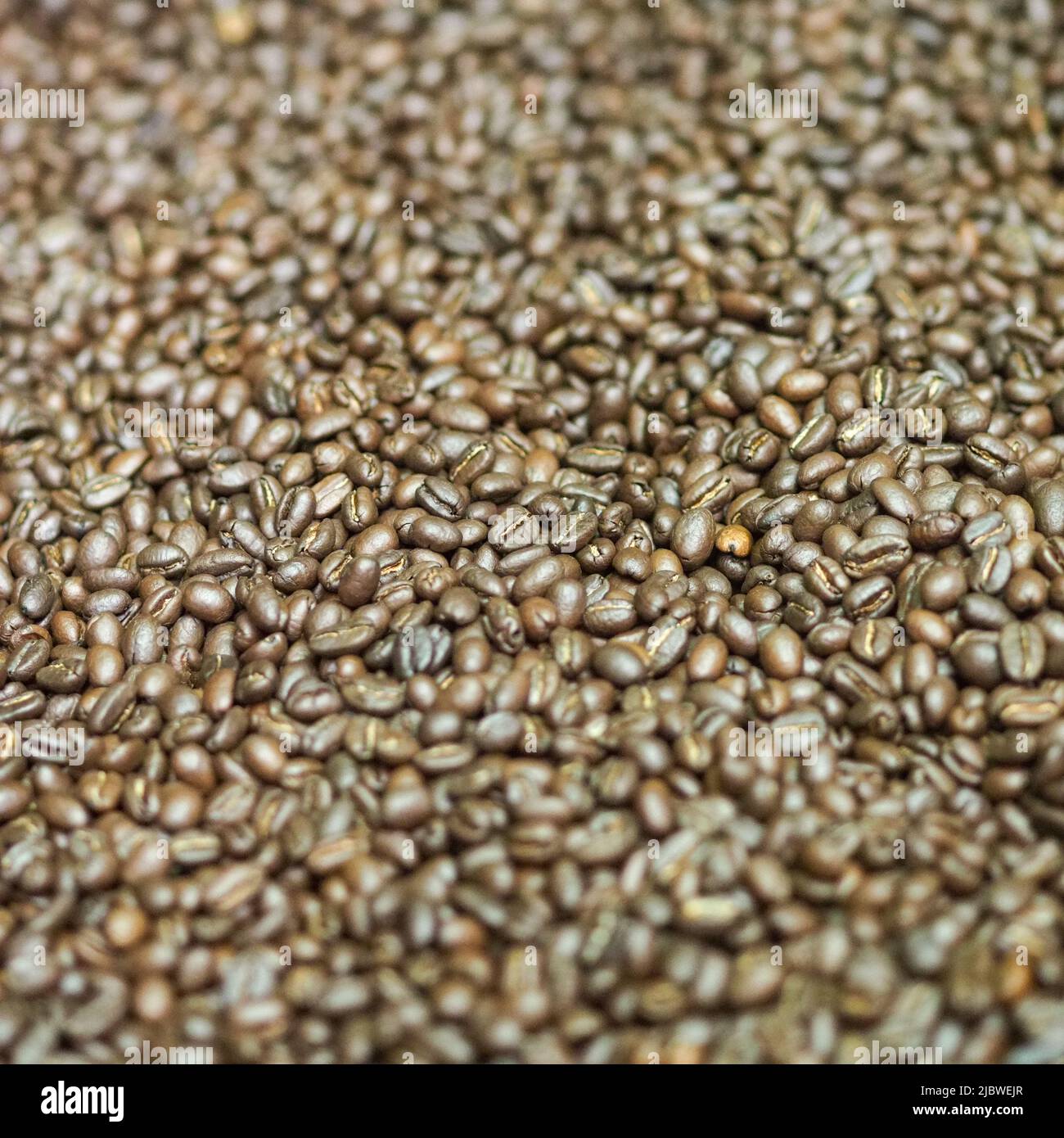 Coffee tasting costa rica hi-res stock photography and images - Alamy