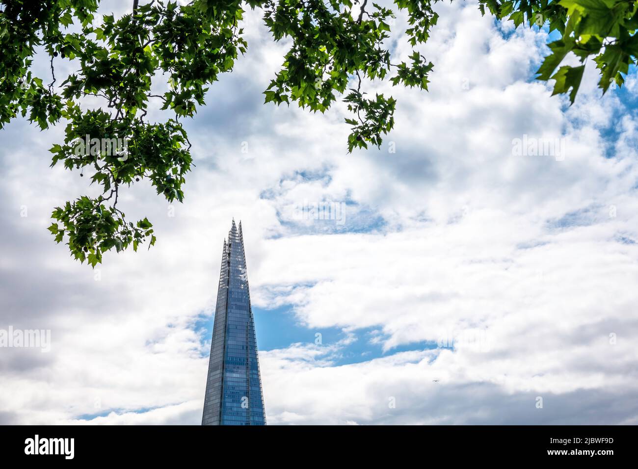 Tree and Shard of glass, London, UK Stock Photo - Alamy
