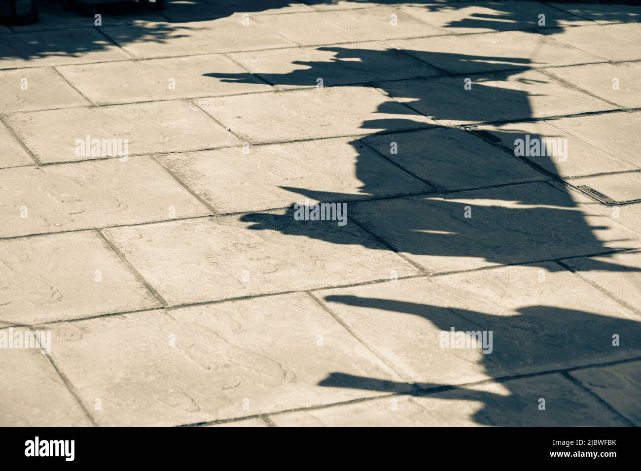 Washing shadow on the paved Stock Photo - Alamy