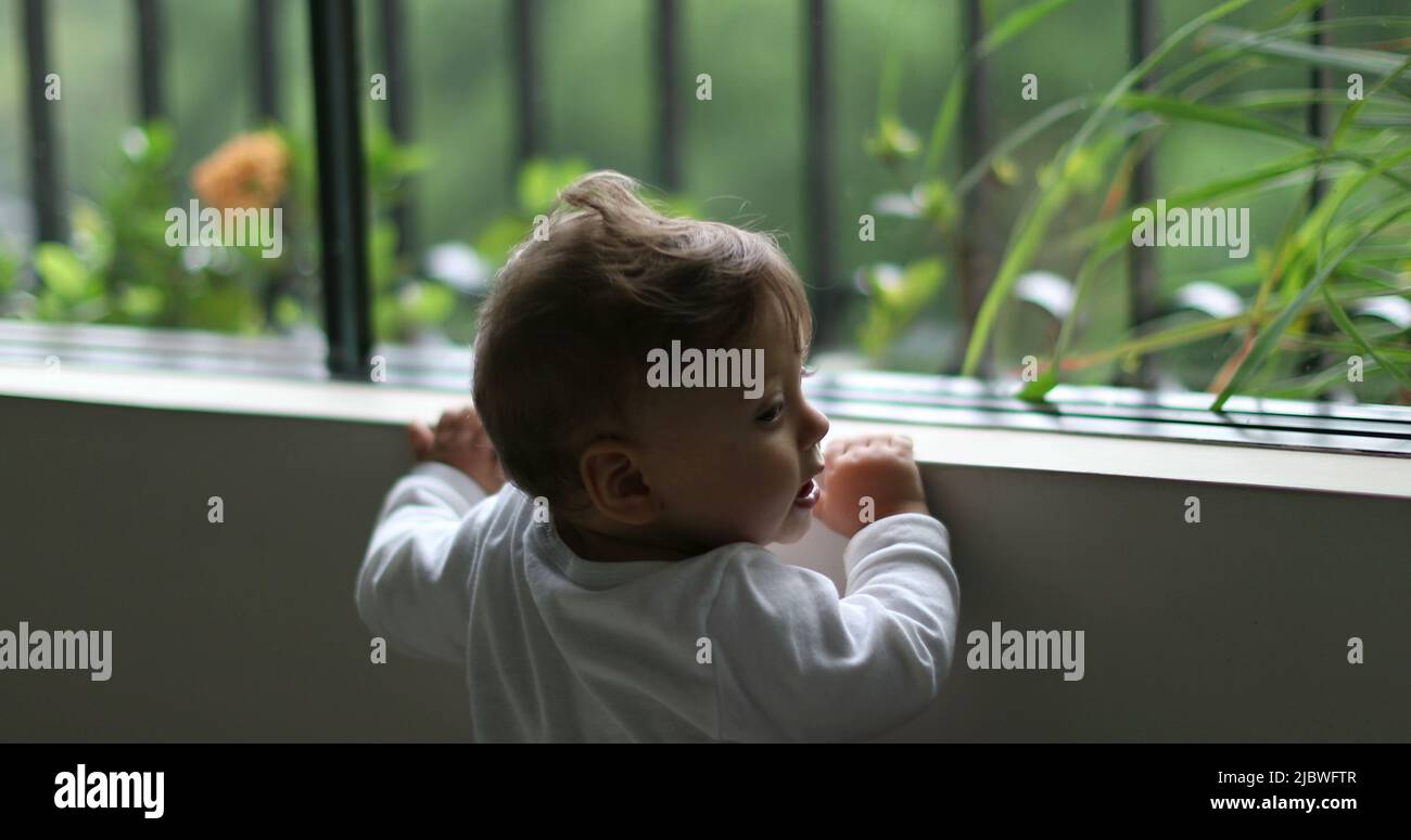 Adorable baby holding into window with arms, infant boy looking up ...
