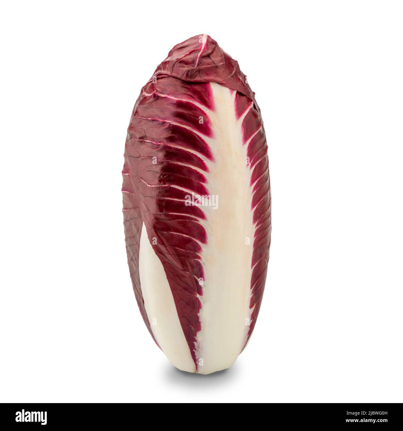 Red chicory, radicchio salad isolated on white, clipping path included ...