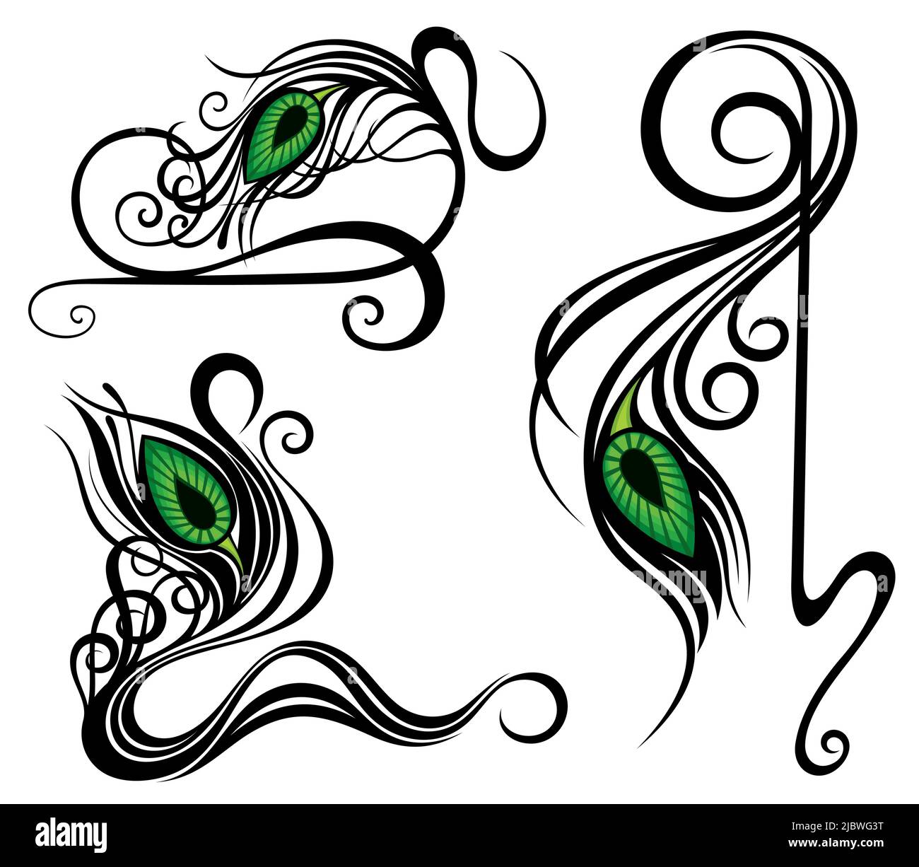 Peacock Feather Corner Design