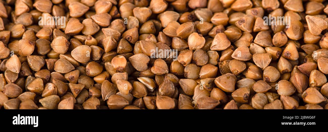 Texture of buckwheat. Background for dry buckwheat design. Large size ...