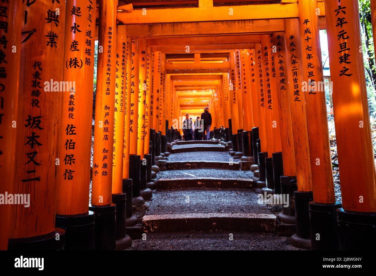 Way of Thousands of Torii Gates in Fushimi Inari Shrine Temple Stock ...