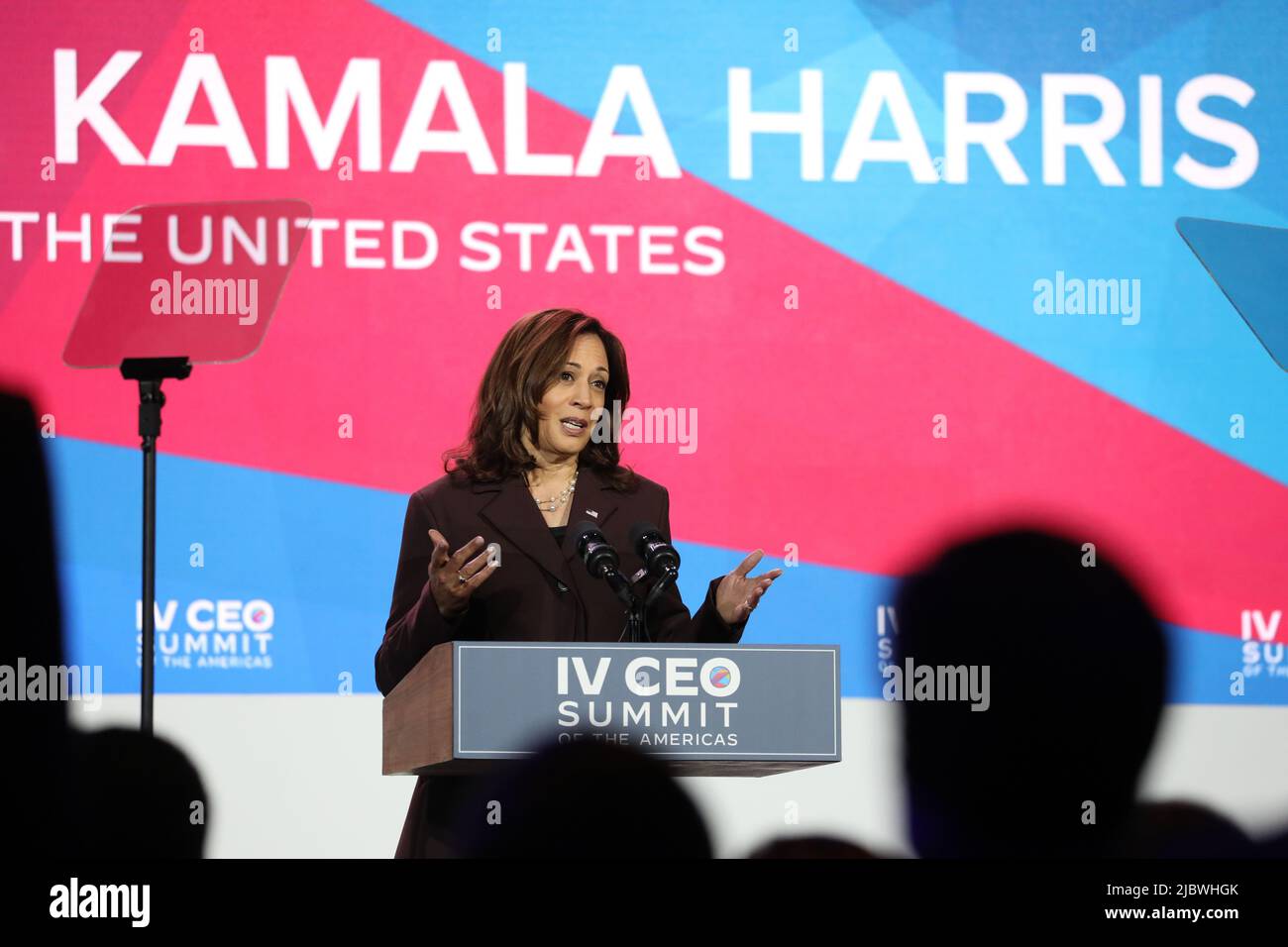 US Vice President Kamala Harris speaks at the IV CEO Summit of the ...