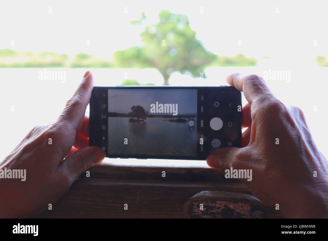 take photos with the mobile to a tree Stock Photo - Alamy