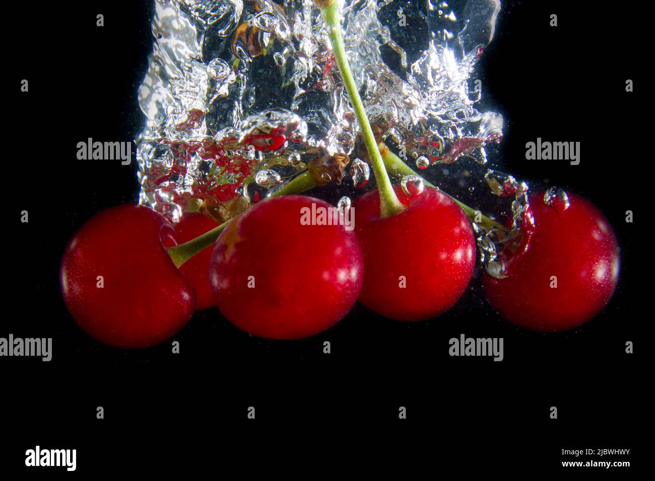 Ripe cherries fall into the water, raising splashes and air bubbles ...