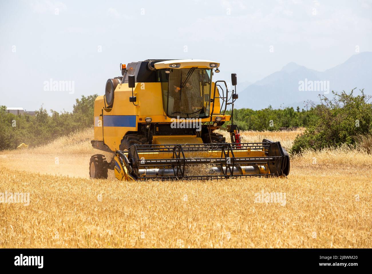 Combine harvester harvesting barley fields Stock Photo - Alamy