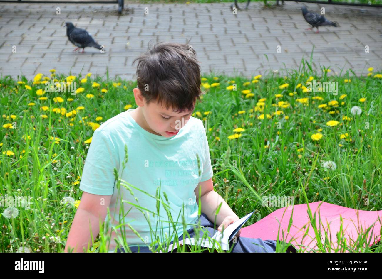 The boy is lying on the grass in park reading a book . Extracurricular ...