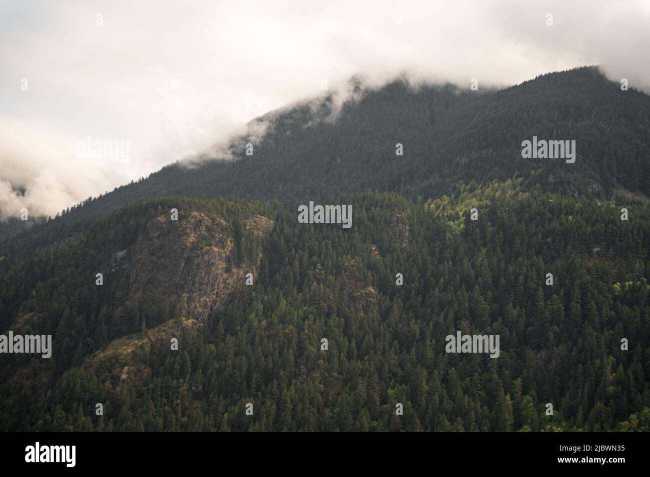 Views from a Vancouver harbour from a DHC-3 de Havilland Turbine Single ...