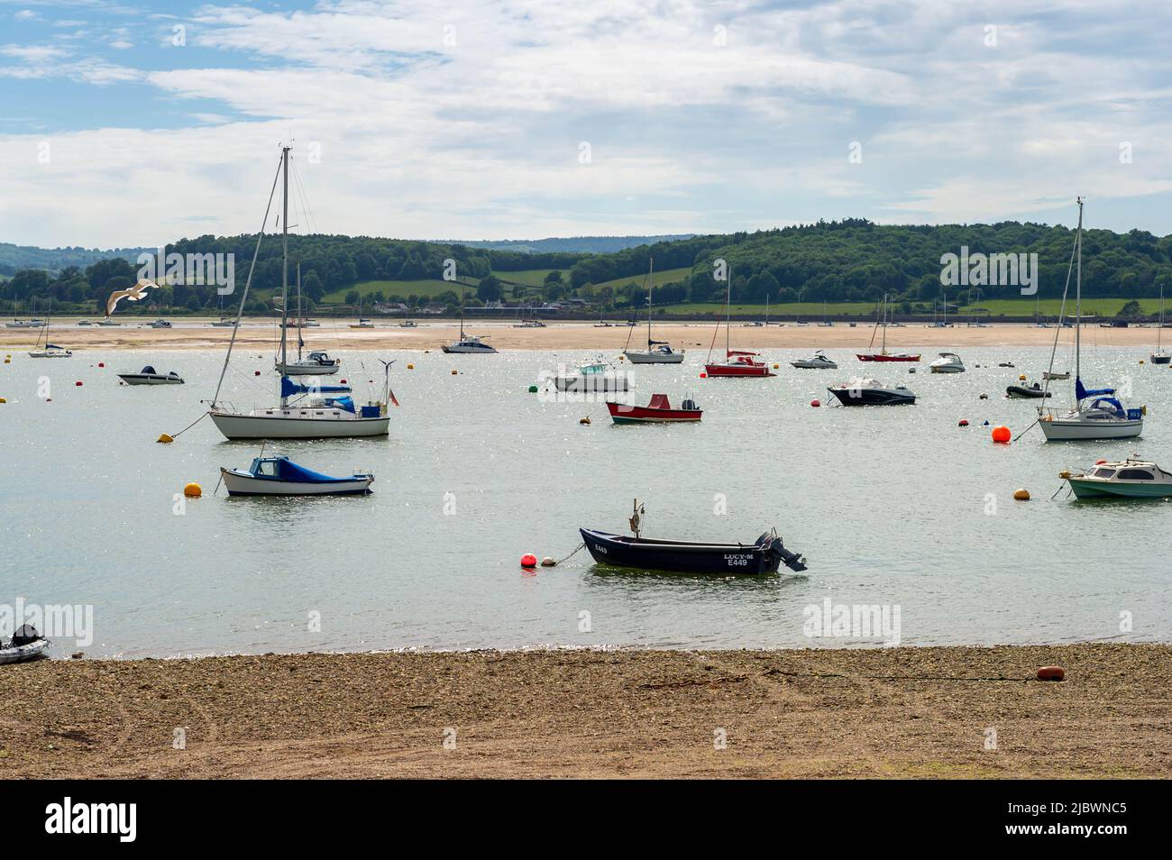 Boats in Exmouth Harbour, Devon, England Stock Photo - Alamy