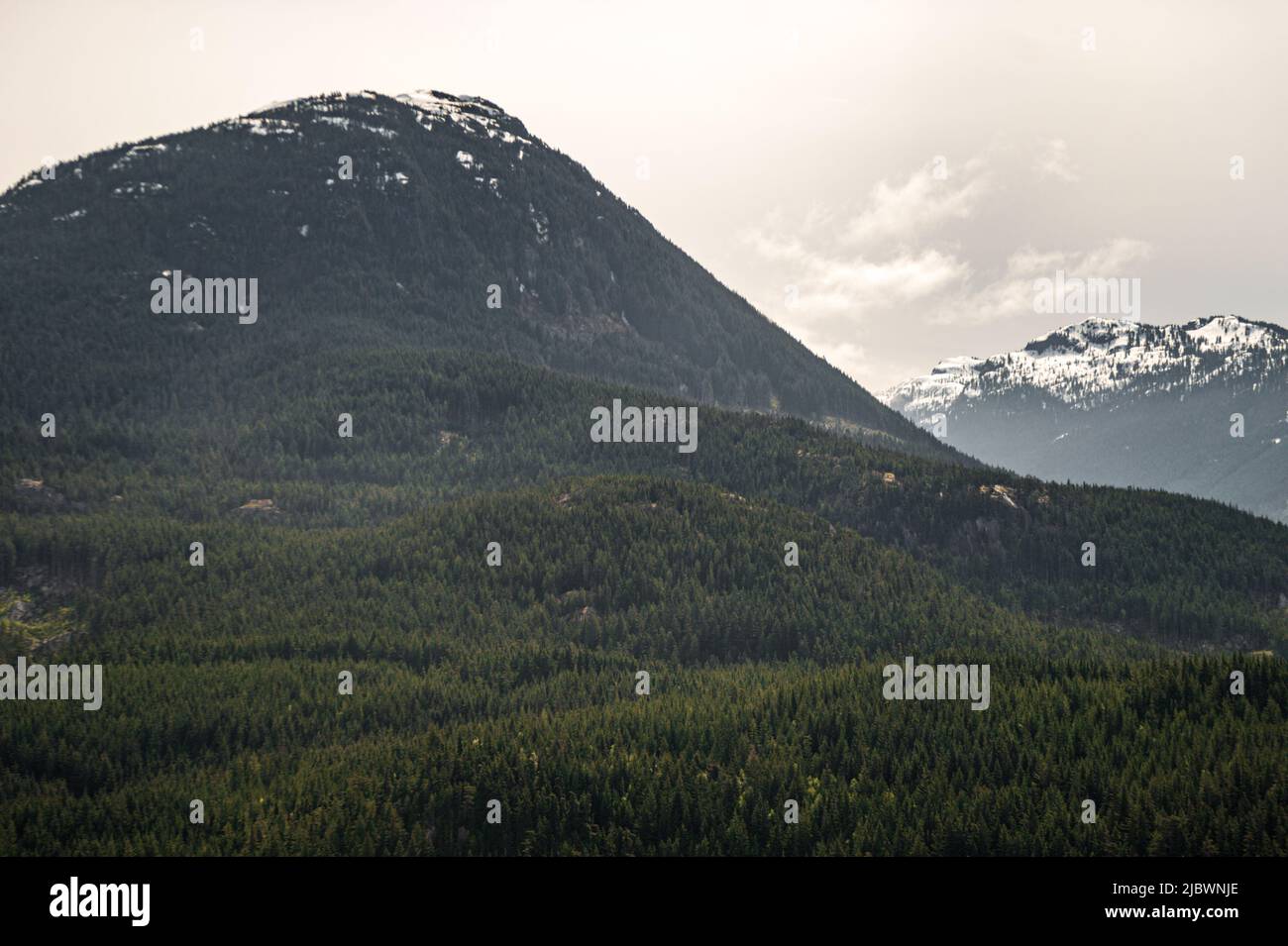 Views from a Vancouver harbour from a DHC-3 de Havilland Turbine Single ...
