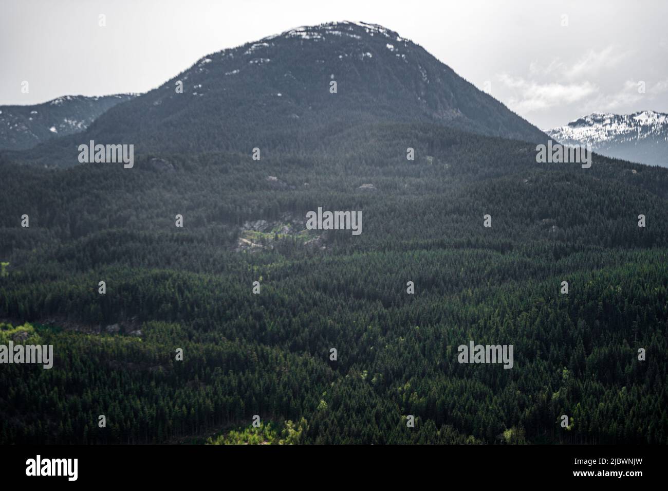 Views from a Vancouver harbour from a DHC-3 de Havilland Turbine Single ...