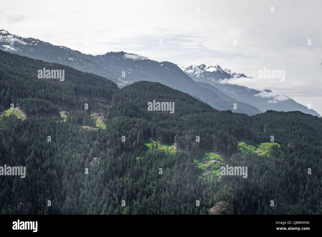 Views from a Vancouver harbour from a DHC-3 de Havilland Turbine Single ...