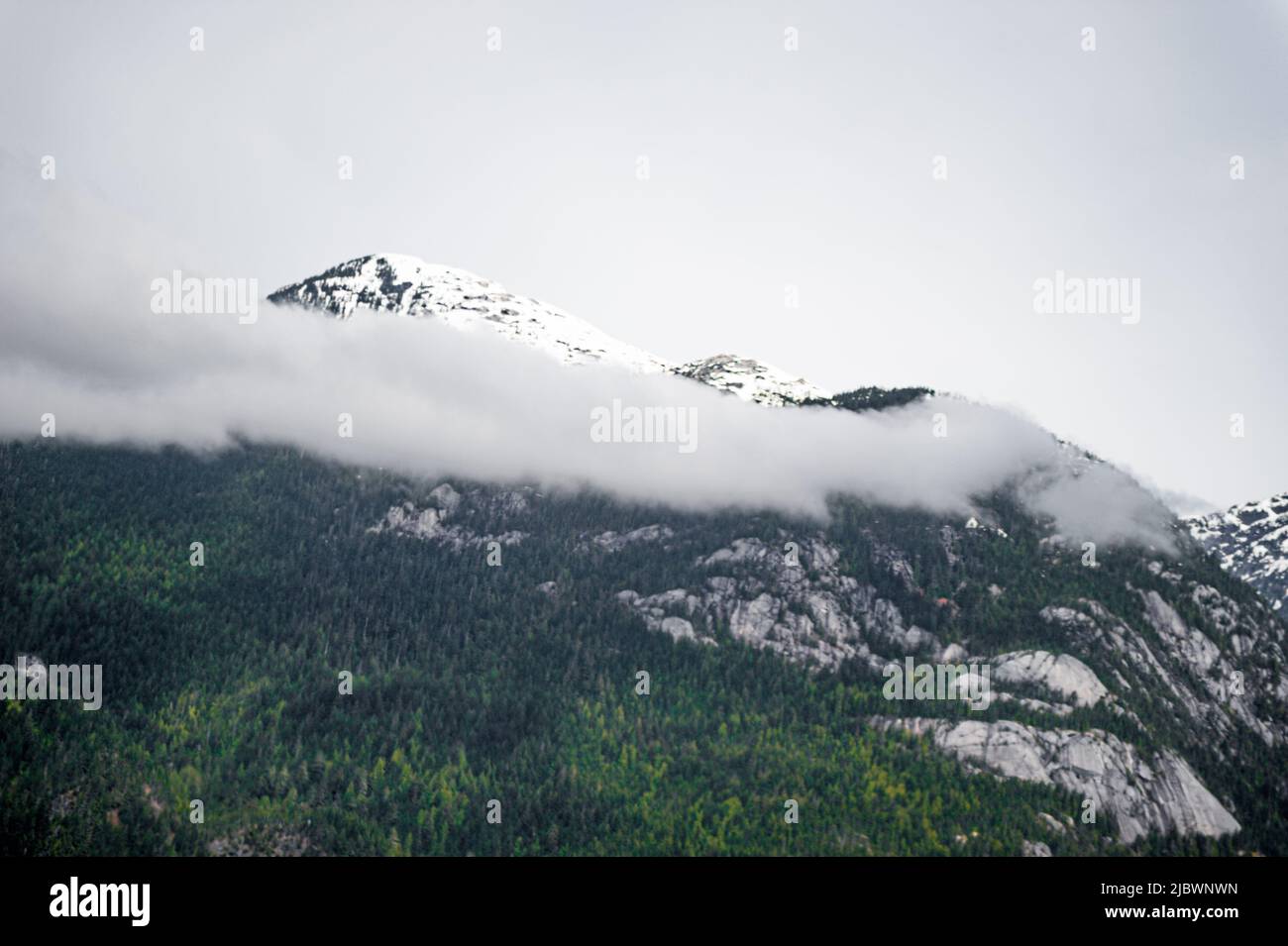 Views from a Vancouver harbour from a DHC-3 de Havilland Turbine Single ...