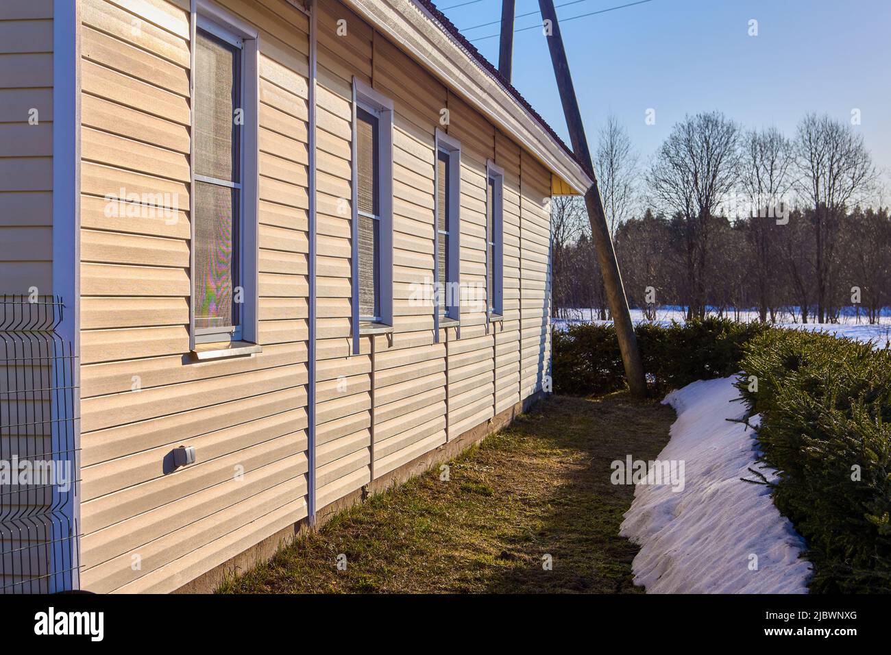 Near rural house is growing hedge of fir trees Stock Photo - Alamy