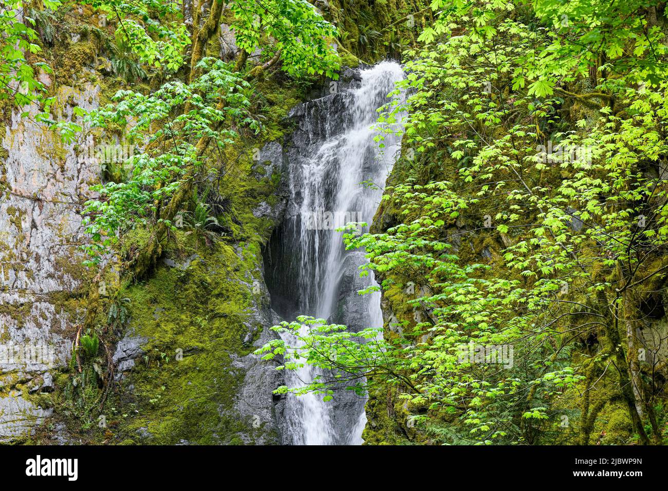 Little Niagara Falls, Goldstream Provincial Park, Vancouver Island ...