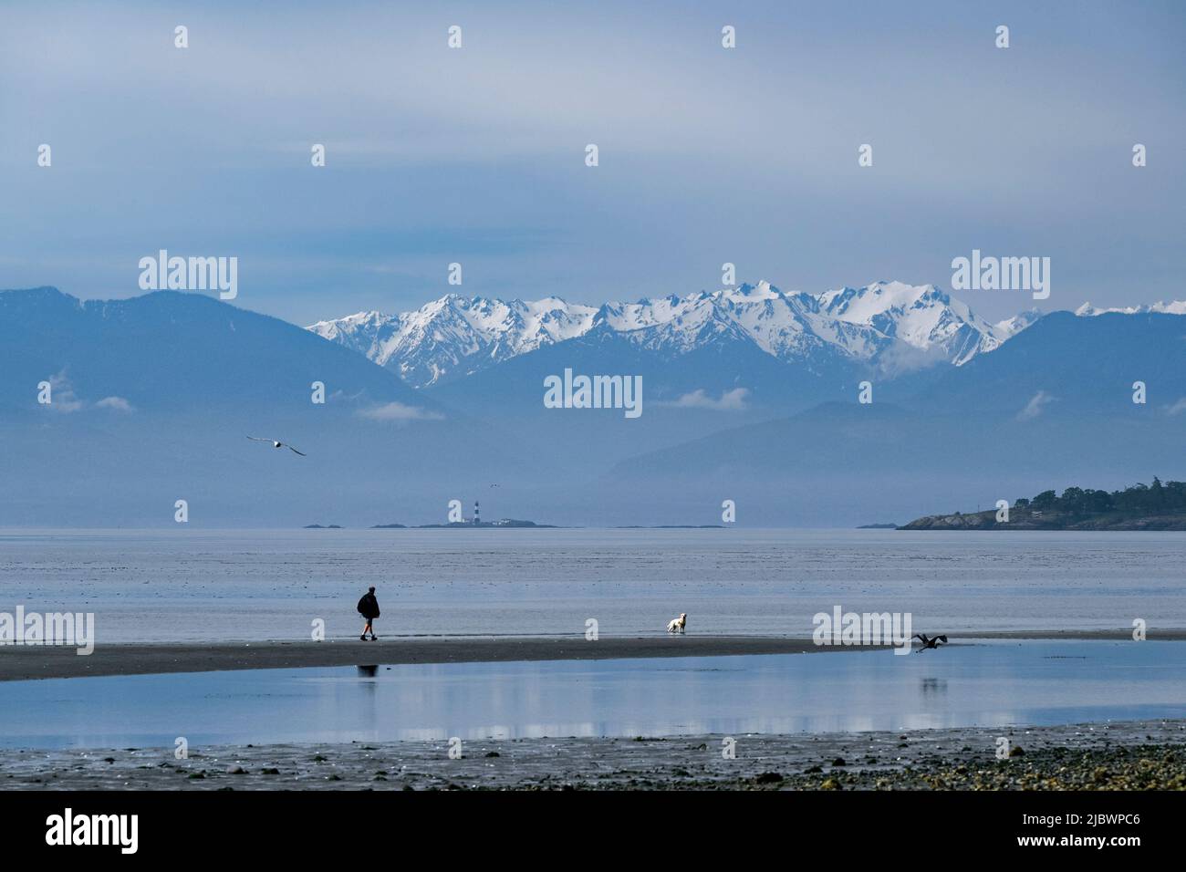 Witty's Lagoon Regional Park, Metchosin, Vancouver Island, British ...