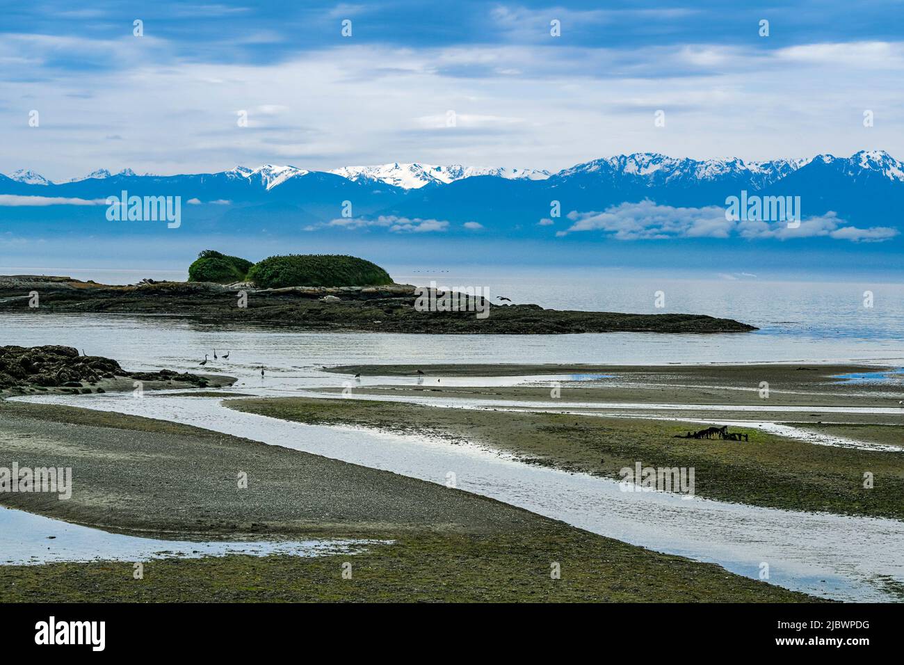 Witty's Lagoon Regional Park, Metchosin, Vancouver Island, British ...