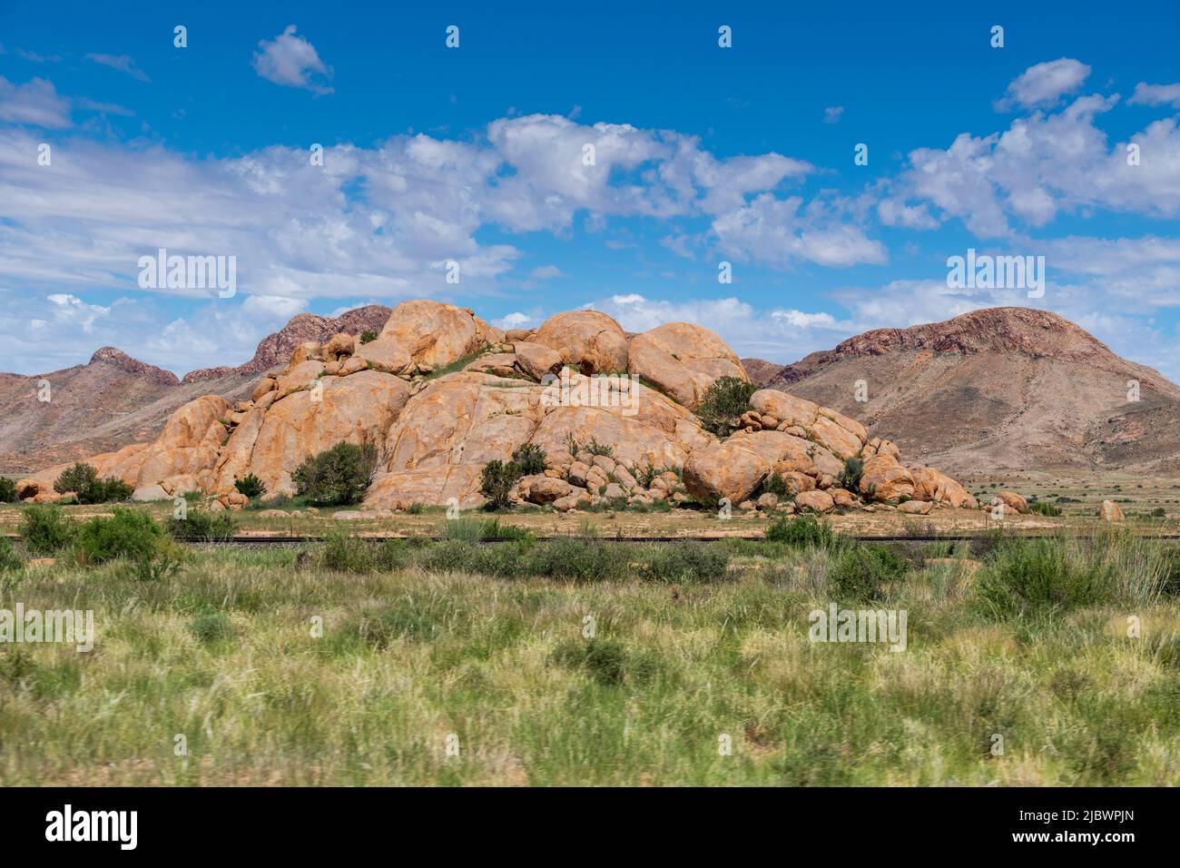 Beautiful view of the African bush. African landscape with trees Stock ...