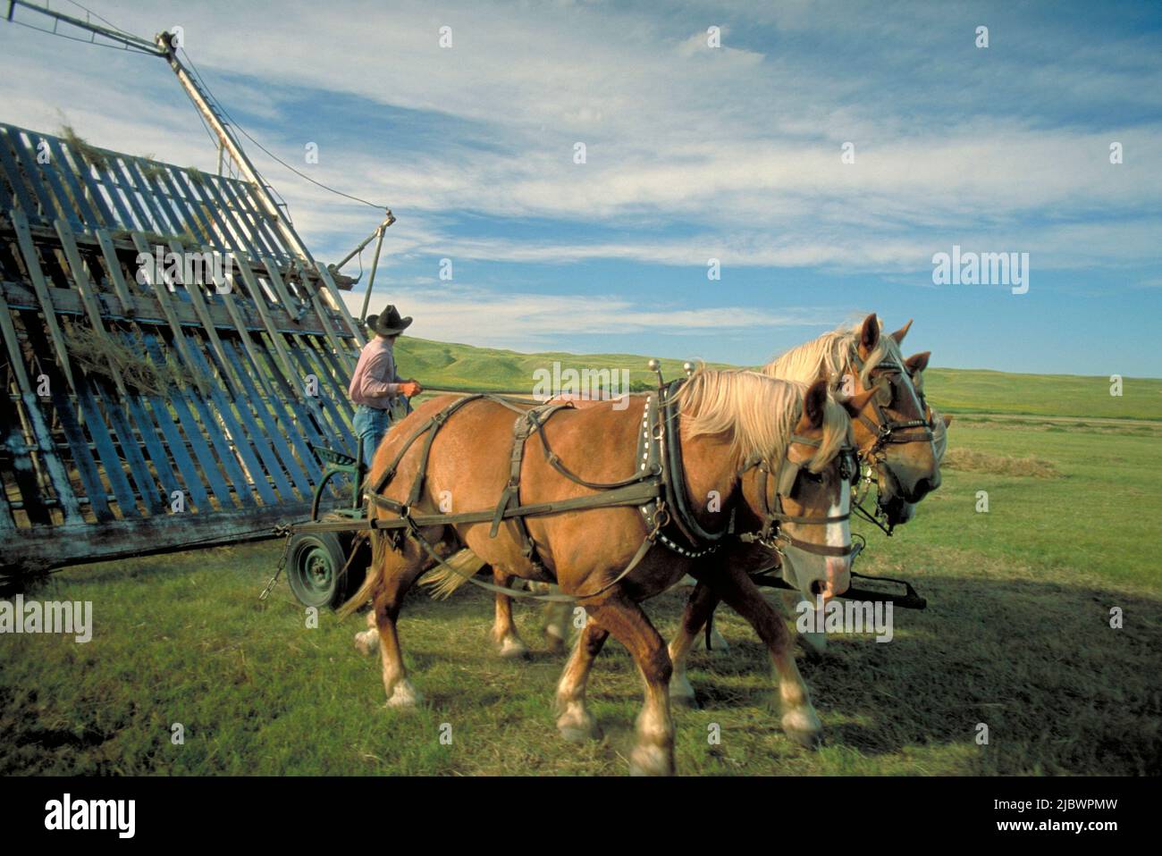 Arthur cowboy hi-res stock photography and images - Alamy