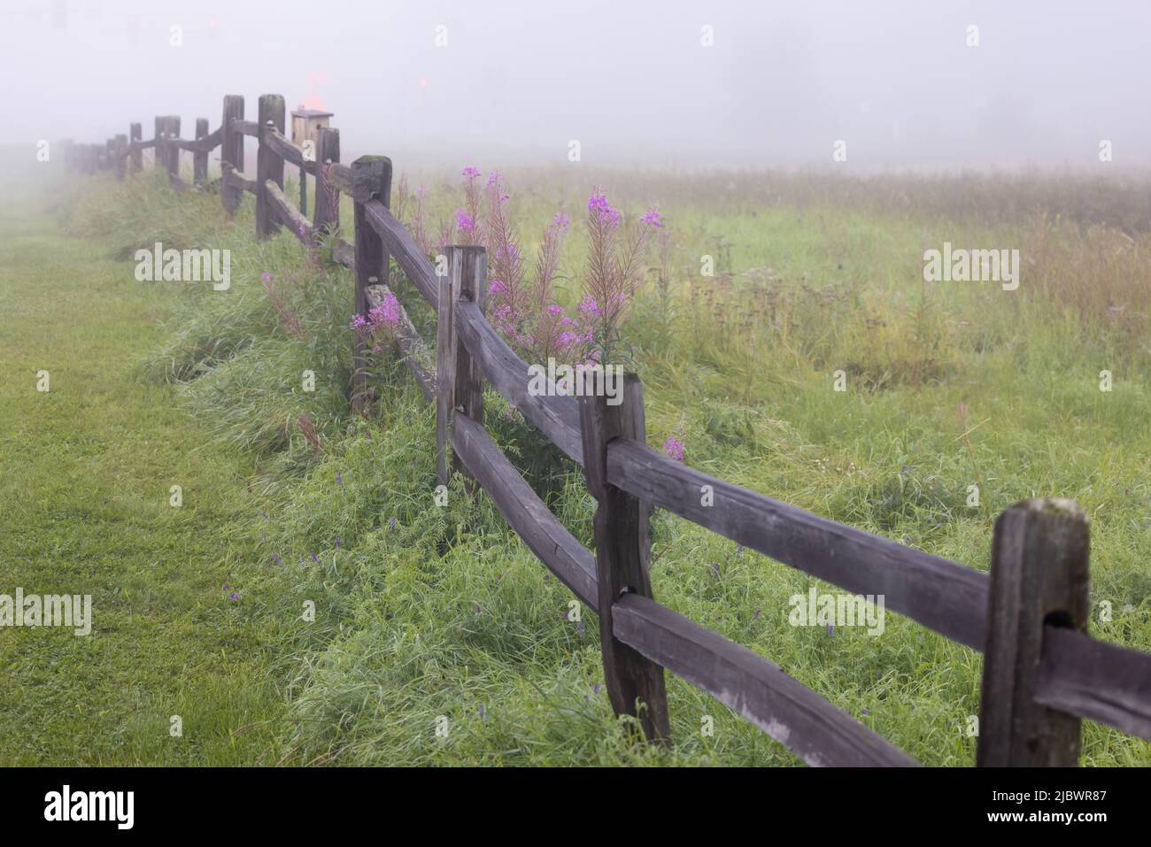 Foggy Morning View Along a Wooden Fence Stock Photo - Alamy