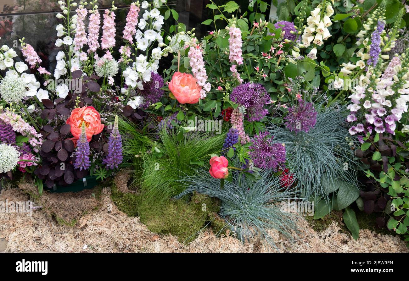 Floral paradise in West London during Chelsea flower show 2022,British ...