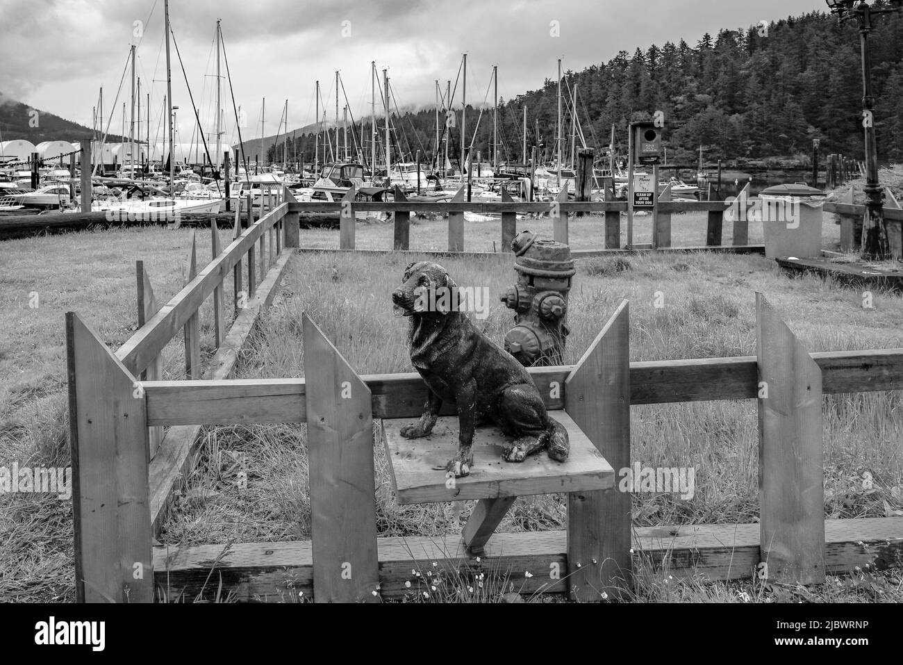 Dog rest area, poo stop, Marina, Maple Bay, Vancouver Island, British ...