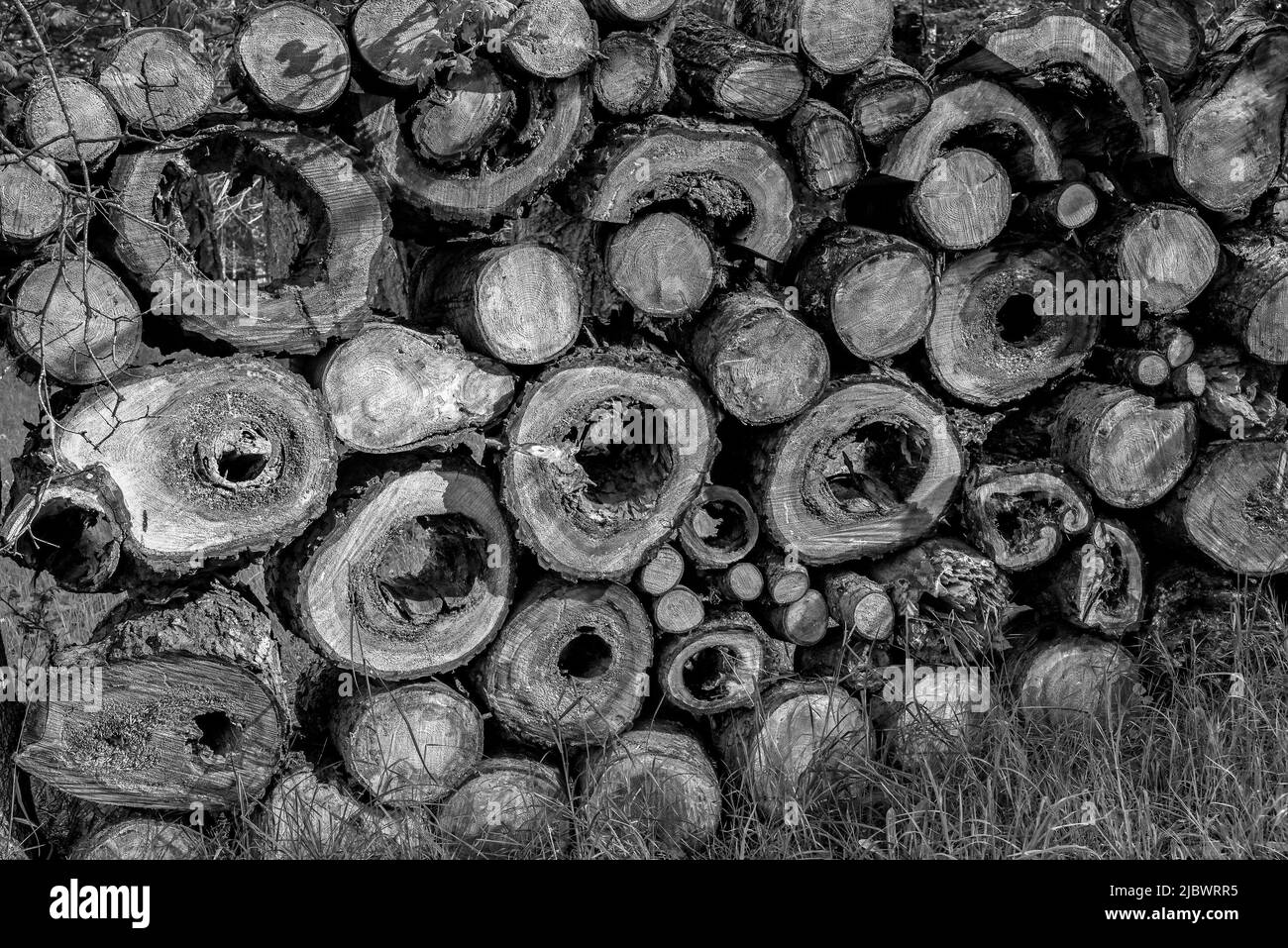 Firewood, wood pile Stock Photo - Alamy