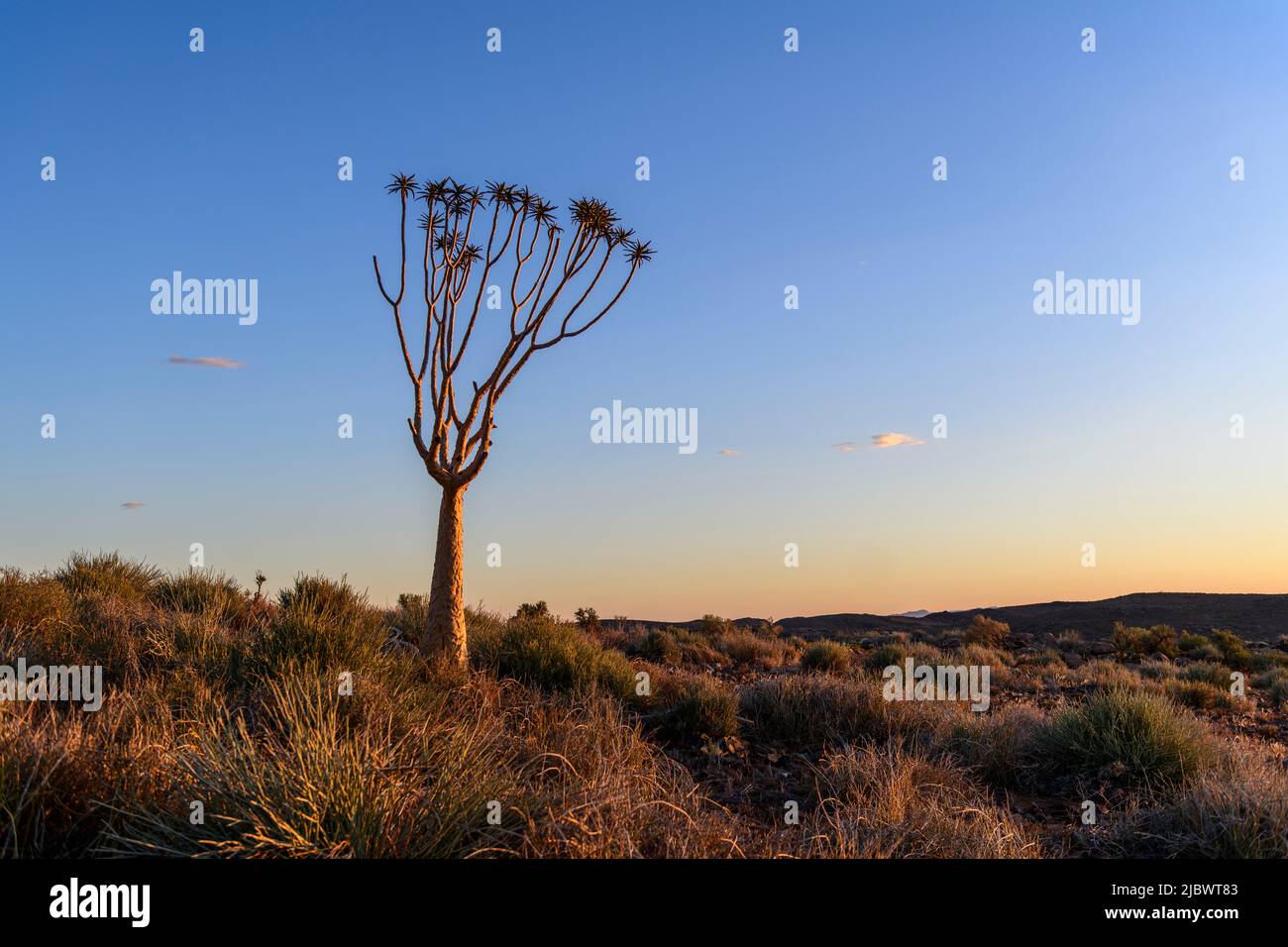 South africa bush from air hi-res stock photography and images - Alamy