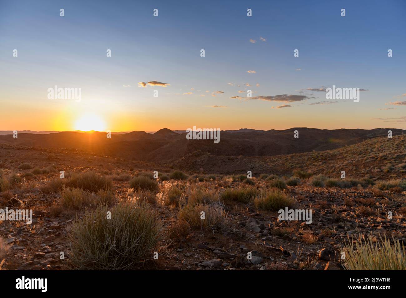 Beautiful view of the African bush. African landscape with trees Stock ...