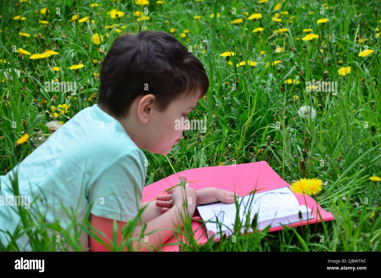 The boy is lying on the grass in park reading a book . Extracurricular ...