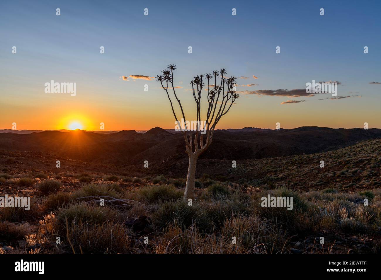 South africa bush from air hi-res stock photography and images - Alamy