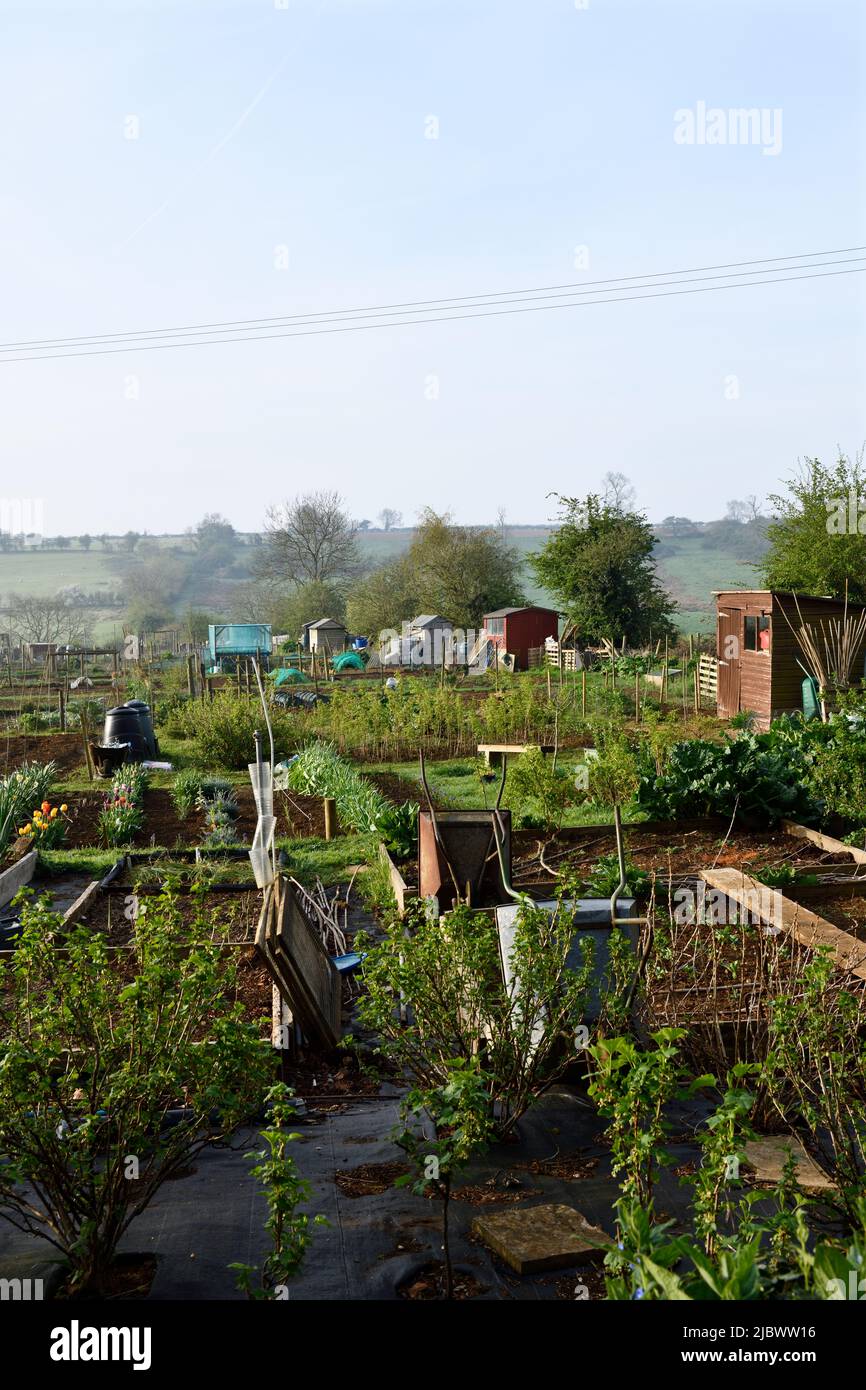 Allotments in the Village of Hook Norton Oxfordshire England uk Stock ...