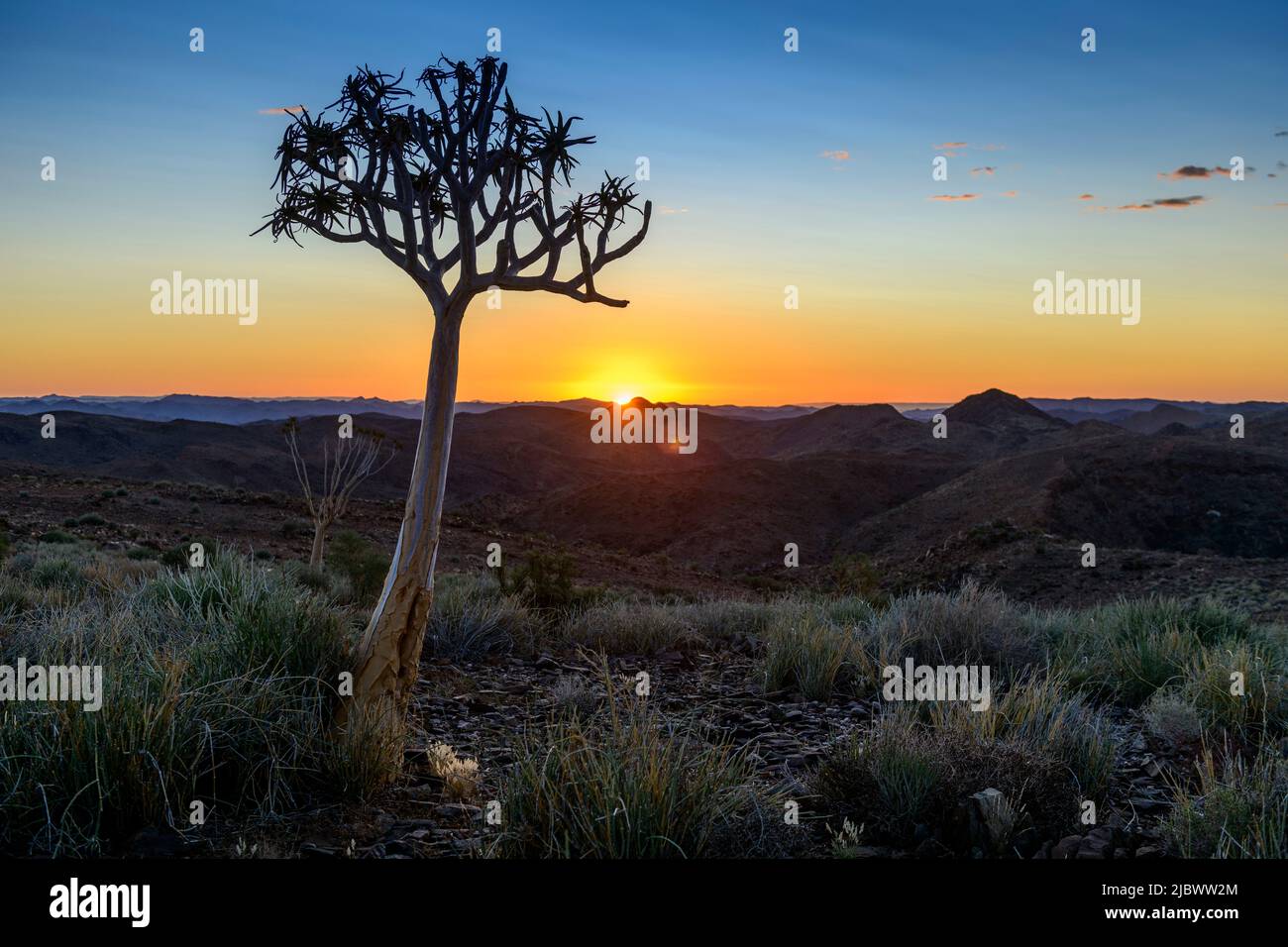 South africa bush from air hi-res stock photography and images - Alamy