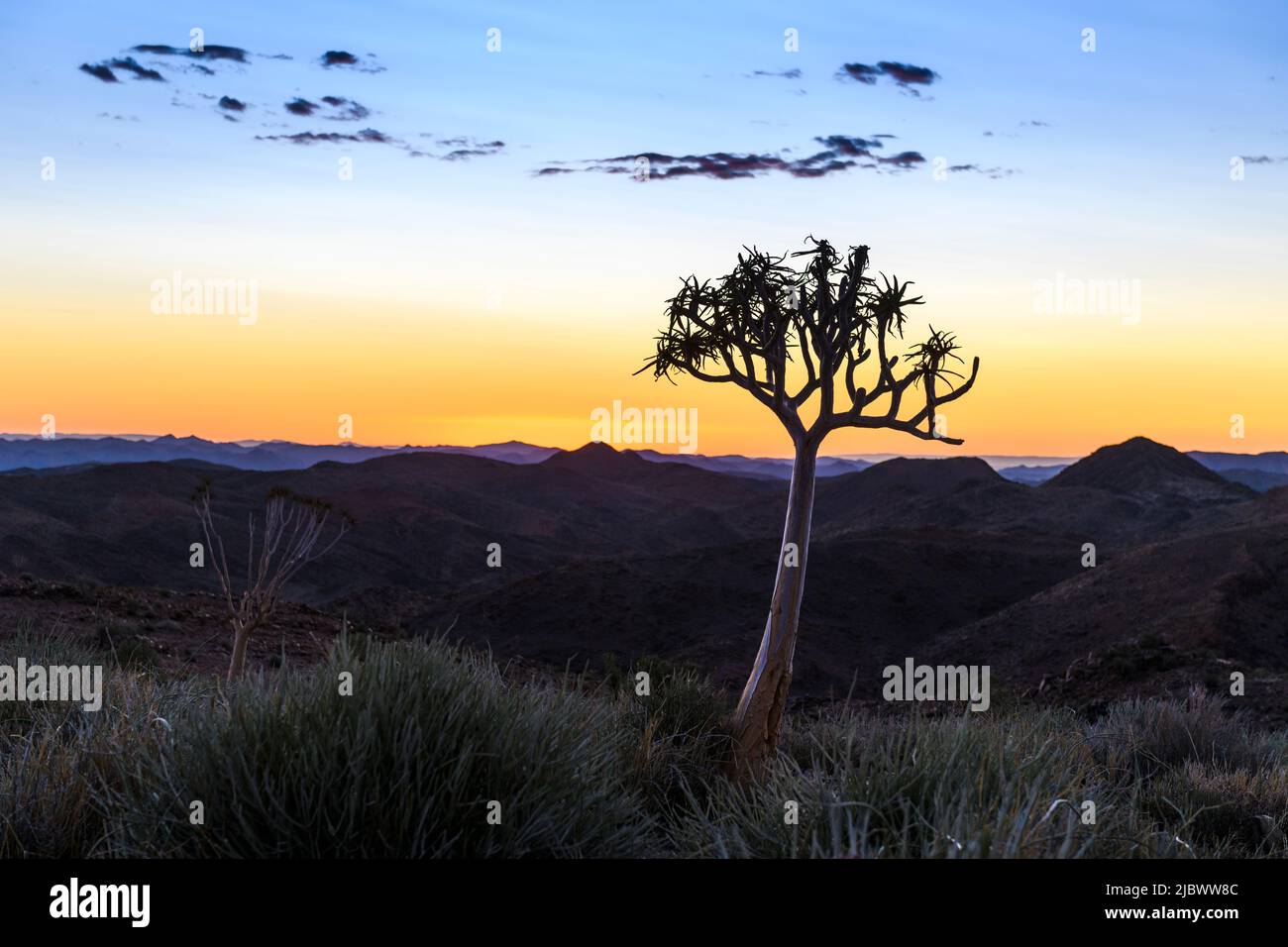 South africa bush from air hi-res stock photography and images - Alamy