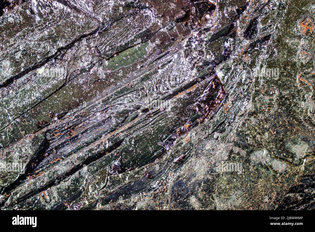 Potassium permanganate crystals under 4x magnification microscope ...