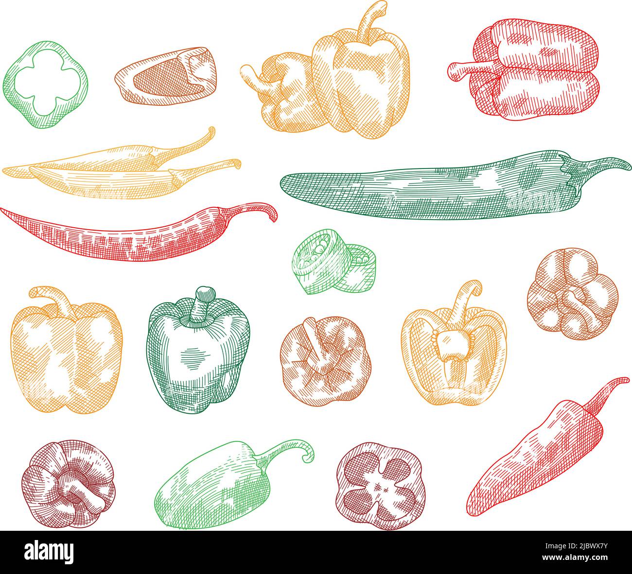 Set of pepper hand drawn sketch. Red hot chili peppers and bell peppers ...