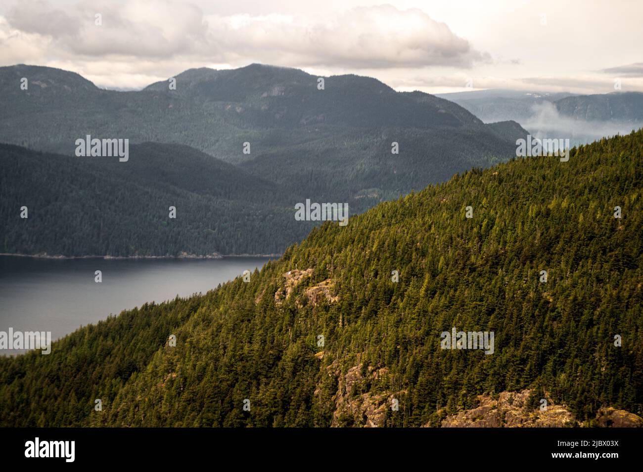 Views from a Vancouver harbour from a DHC-3 de Havilland Turbine Single ...