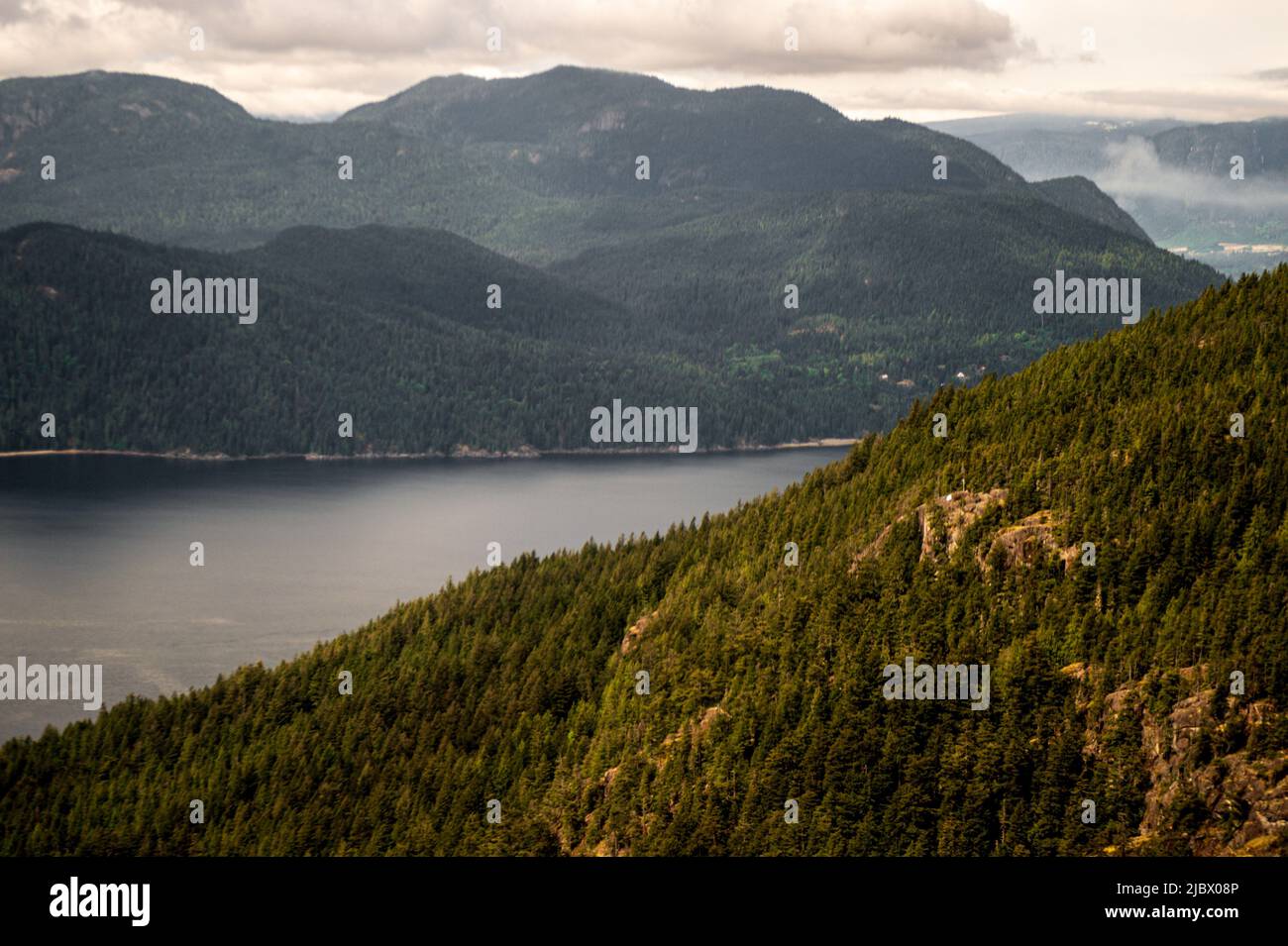 Views from a Vancouver harbour from a DHC-3 de Havilland Turbine Single ...