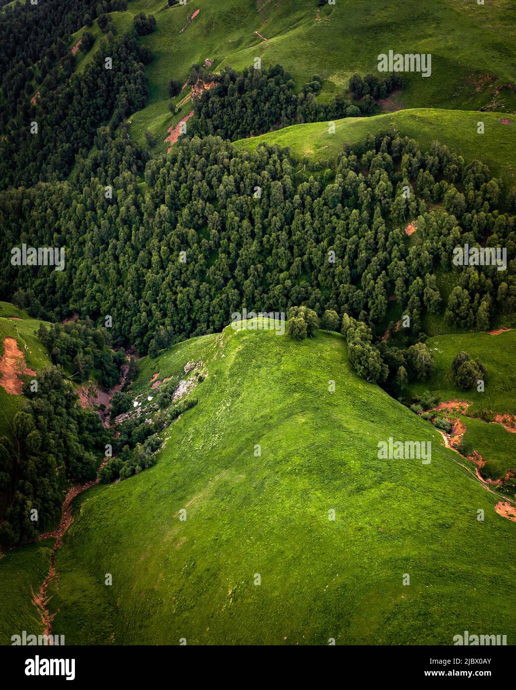 Mountain green slope with rare trees drone view Stock Photo - Alamy