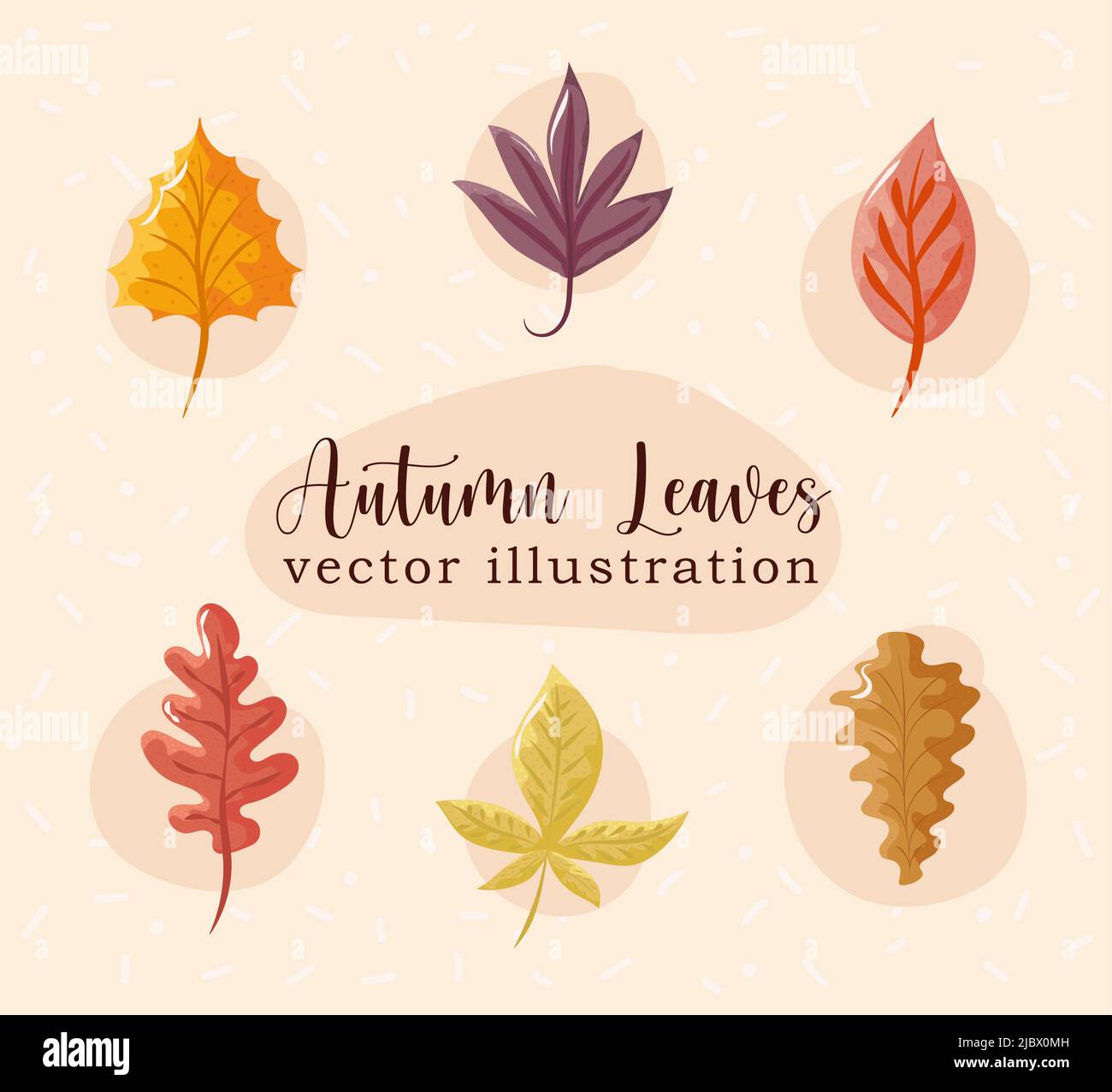 autumn leaves icons Stock Vector Image & Art - Alamy