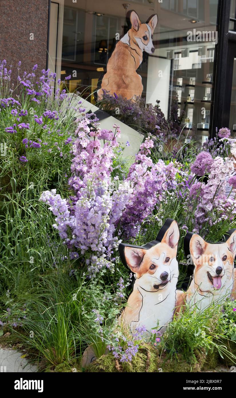 Floral paradise in West London during Chelsea flower show 2022,British ...
