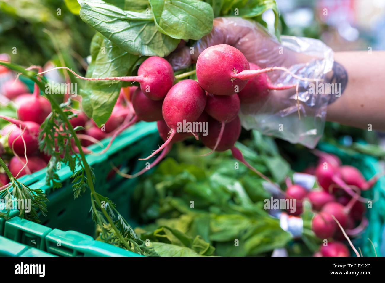 Young woman buying in a supermarket. Detail of right hand holding a ...