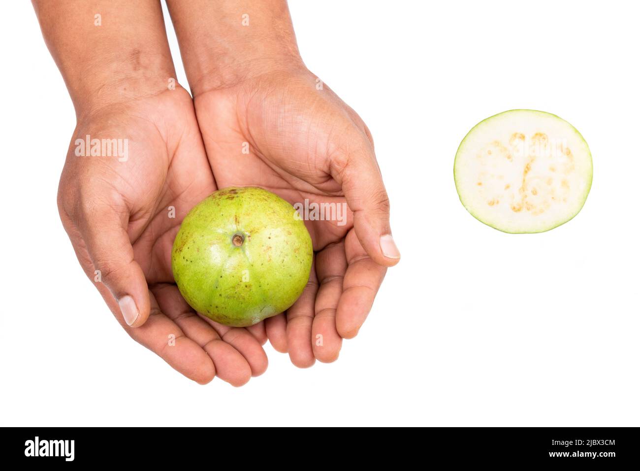 Psidium Guajava - Tasty And Healthy Fruit Guava Apple; In Male Hand On ...